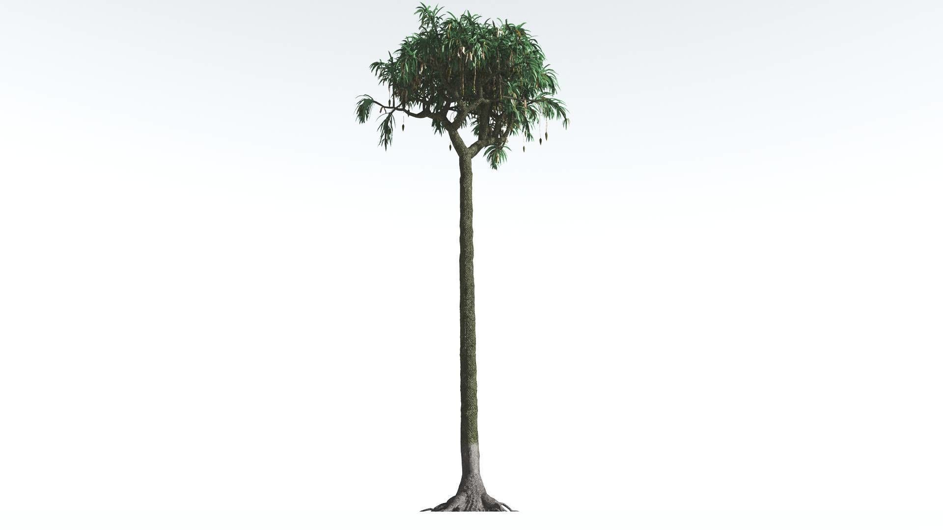 EVERYPlant Lepidodendron Scale Tree 3 --12 Models-- 3D model | CGTrader