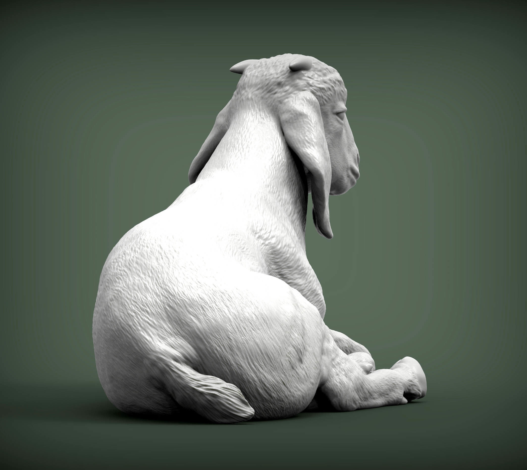 Baby Boer goat lying down 3D model 3D printable | CGTrader