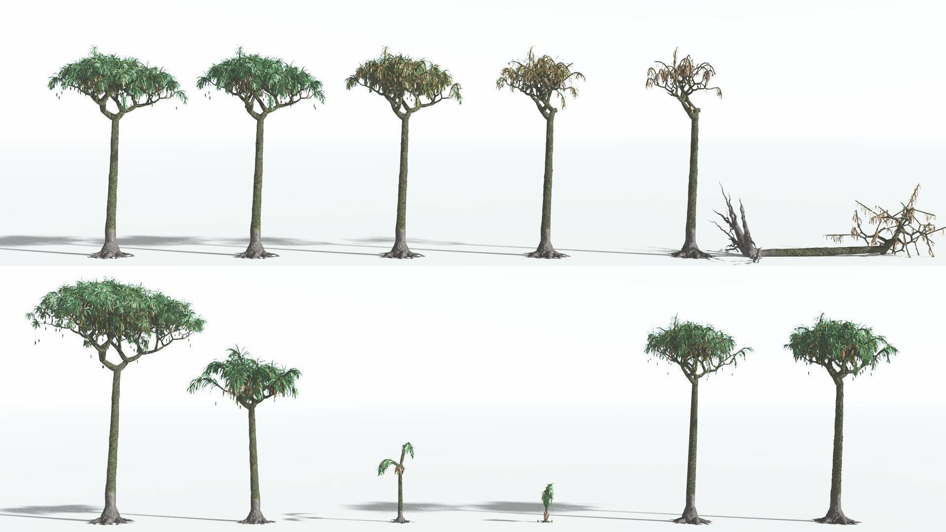 EVERYPlant Lepidodendron Scale Tree 4 --12 Models-- 3D model | CGTrader