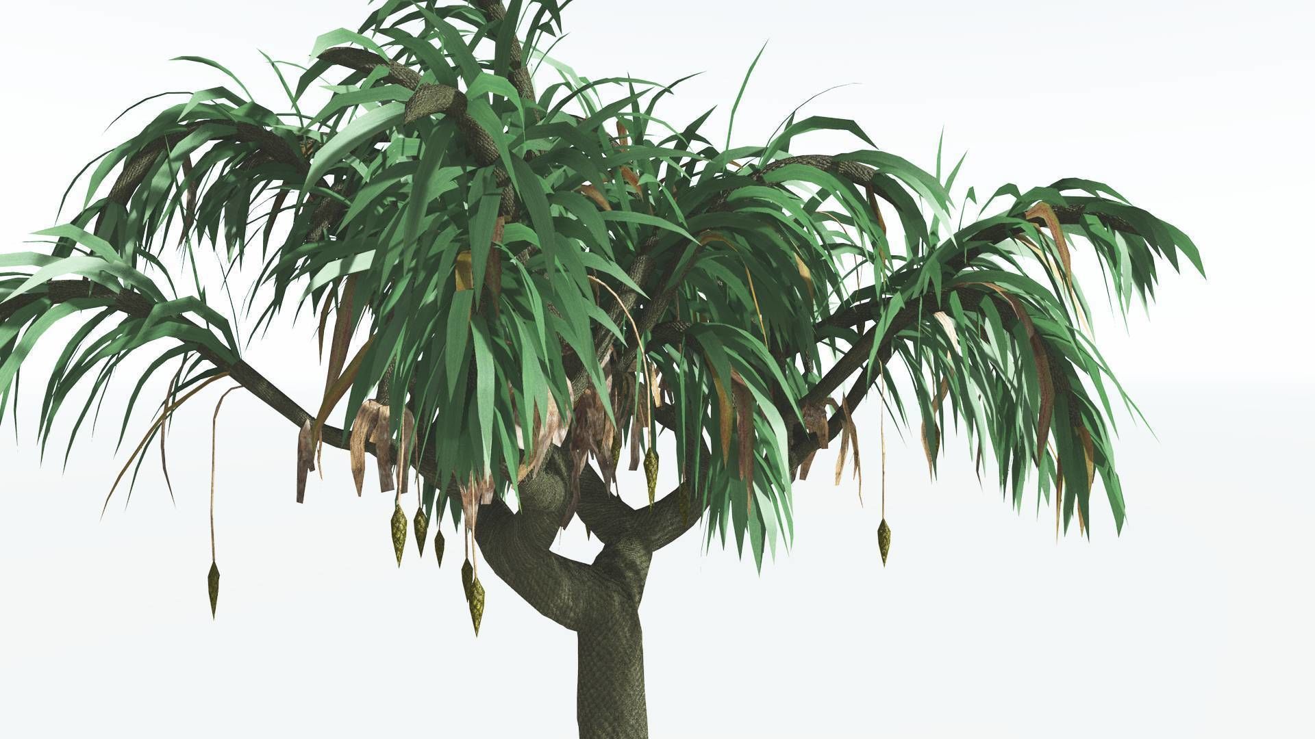 EVERYPlant Lepidodendron Scale Tree 4 --12 Models-- 3D model | CGTrader