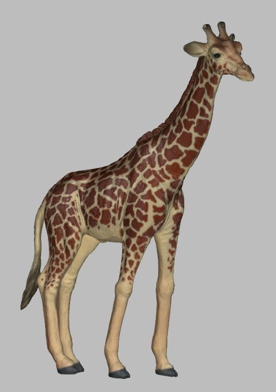 Giraffe 3D Model 3D model 3D printable | CGTrader