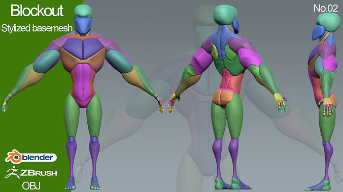 stylized anatomy Basemesh blockout 002 3D model | CGTrader