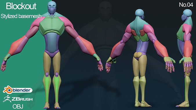 stylized anatomy Basemesh blockout 004 3D model | CGTrader