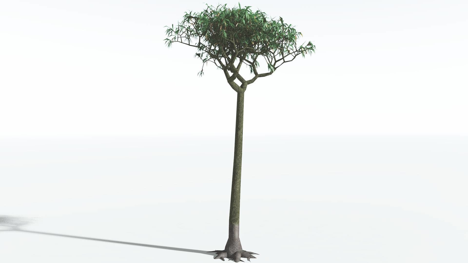 3D model EVERYPlant Lepidodendron Scale Tree LowPoly 4 --12 Models-- VR / AR / low-poly | CGTrader
