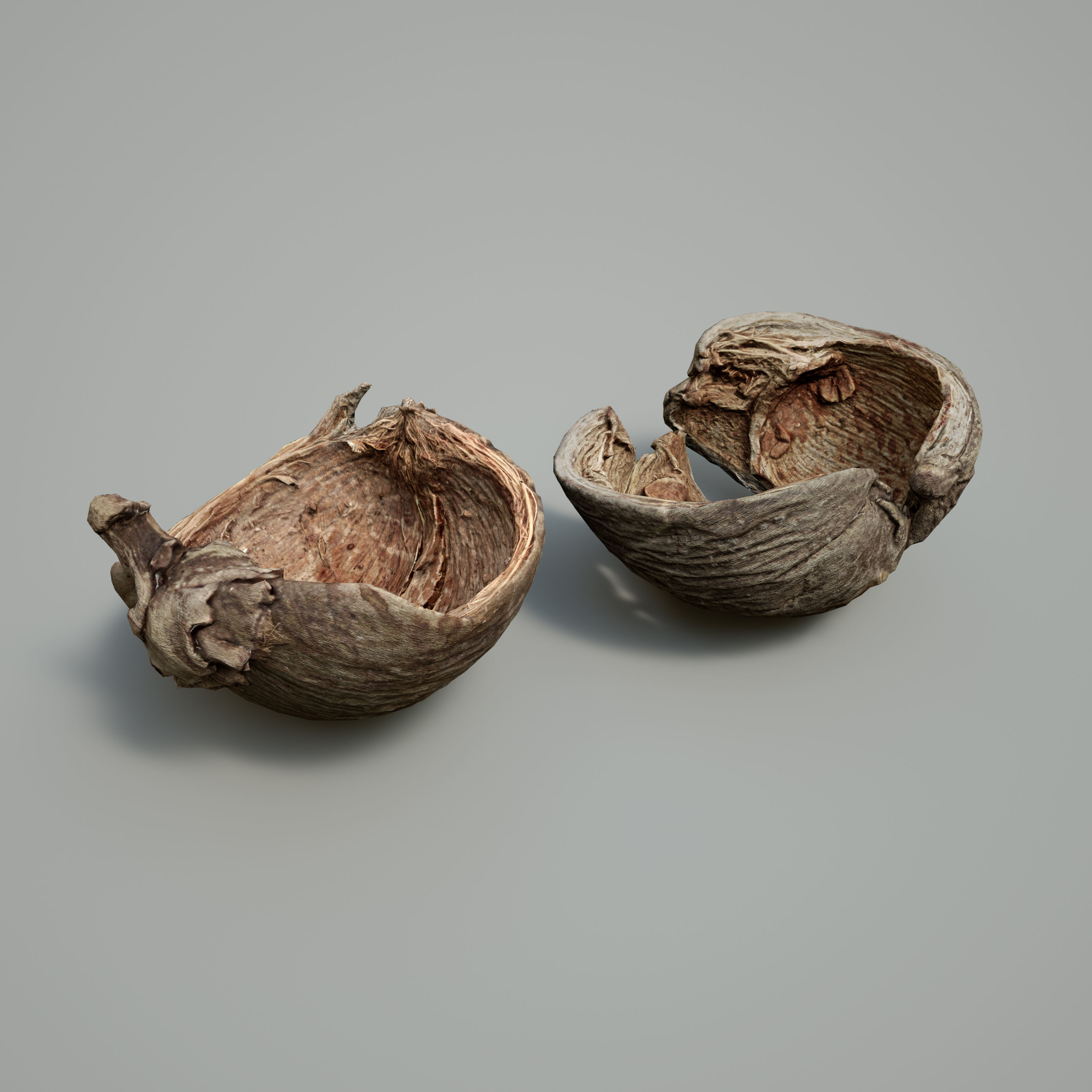 3D model 3DSCAN-Traditional Chinese Medicine-Arecae Pericarpium VR / AR ...