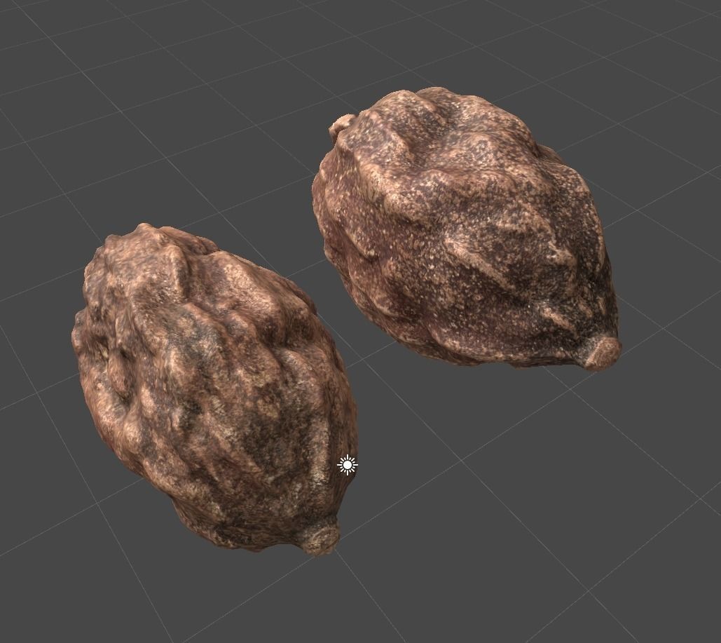 3D model 3DSCAN-Traditional Chinese Medicine-Alpiniae Oxyphyllae ...