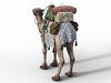 Camel With Package - Rigged 3D model rigged | CGTrader