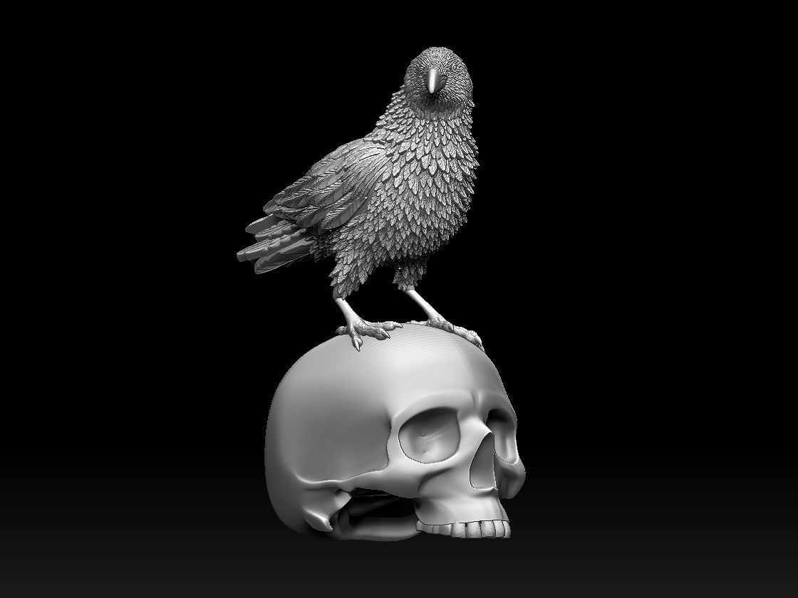 bird crow 3D model 3D printable | CGTrader