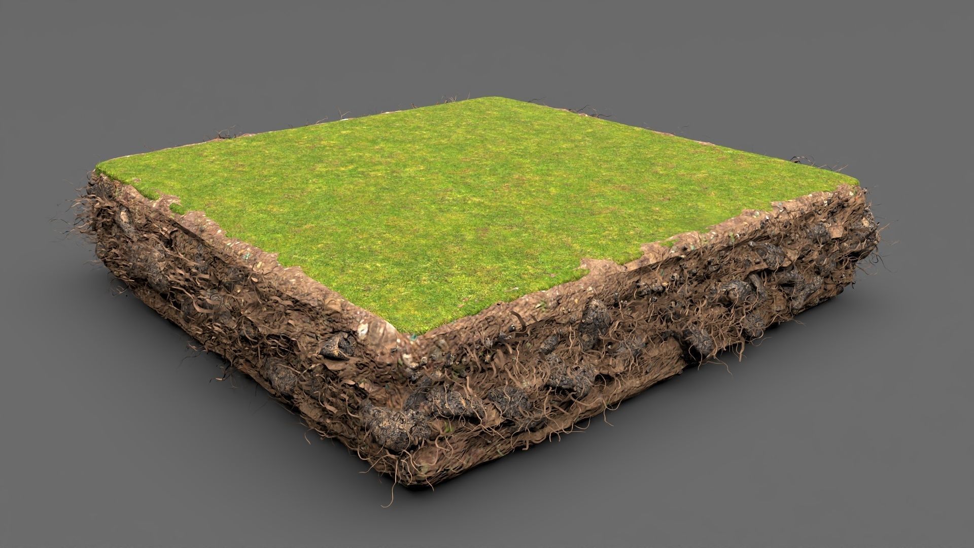 Grass Cross Section with Soil 3D model | CGTrader