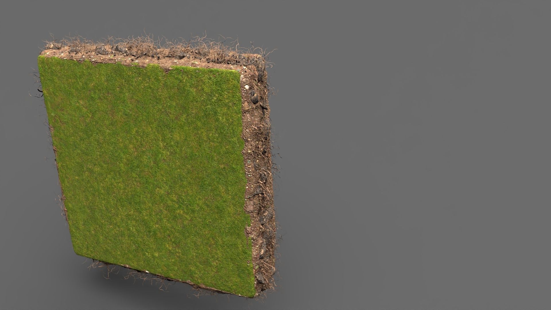 Grass Cross Section with Soil 3D model | CGTrader