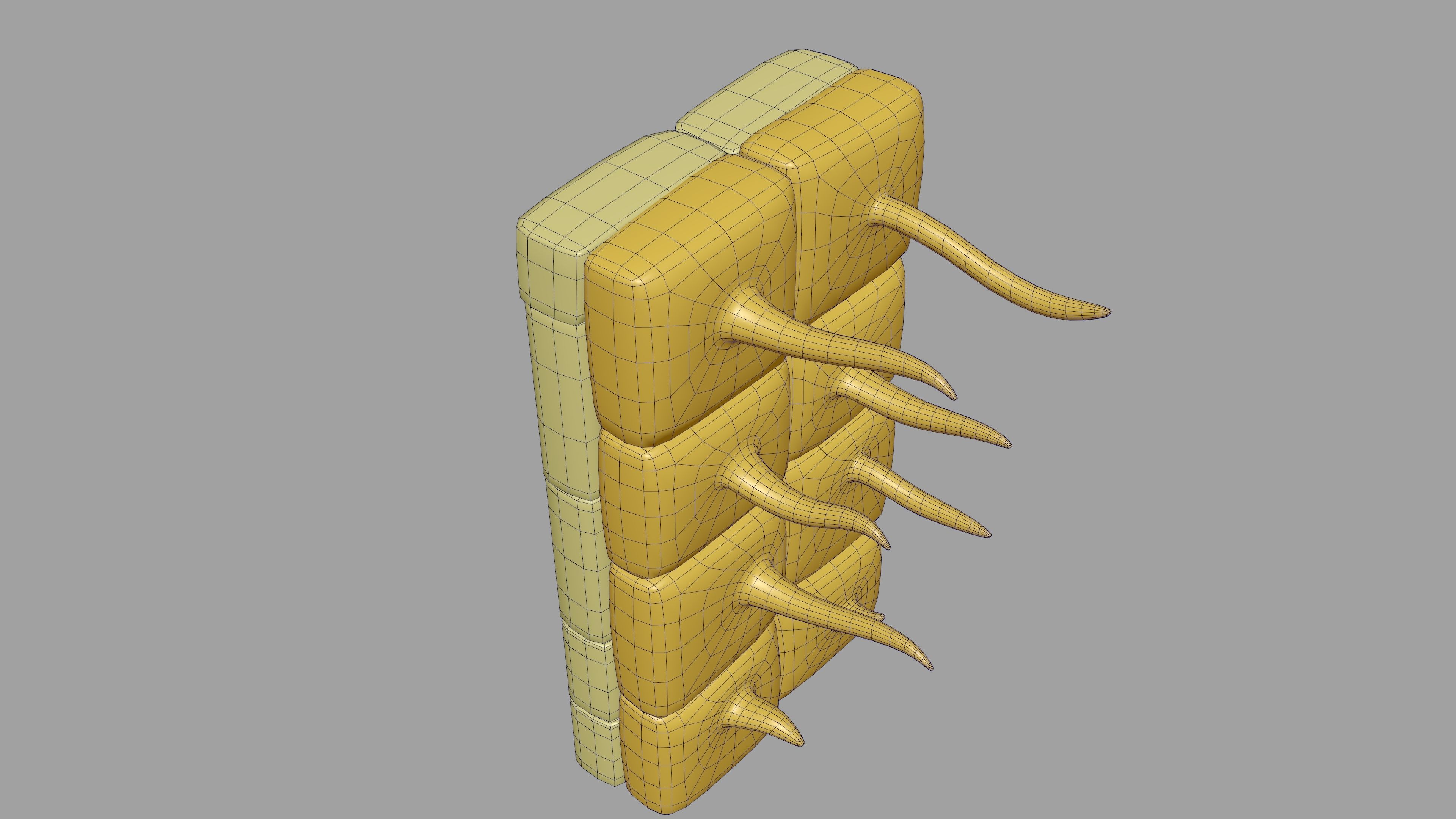 Root Hair Cell 3D model | CGTrader