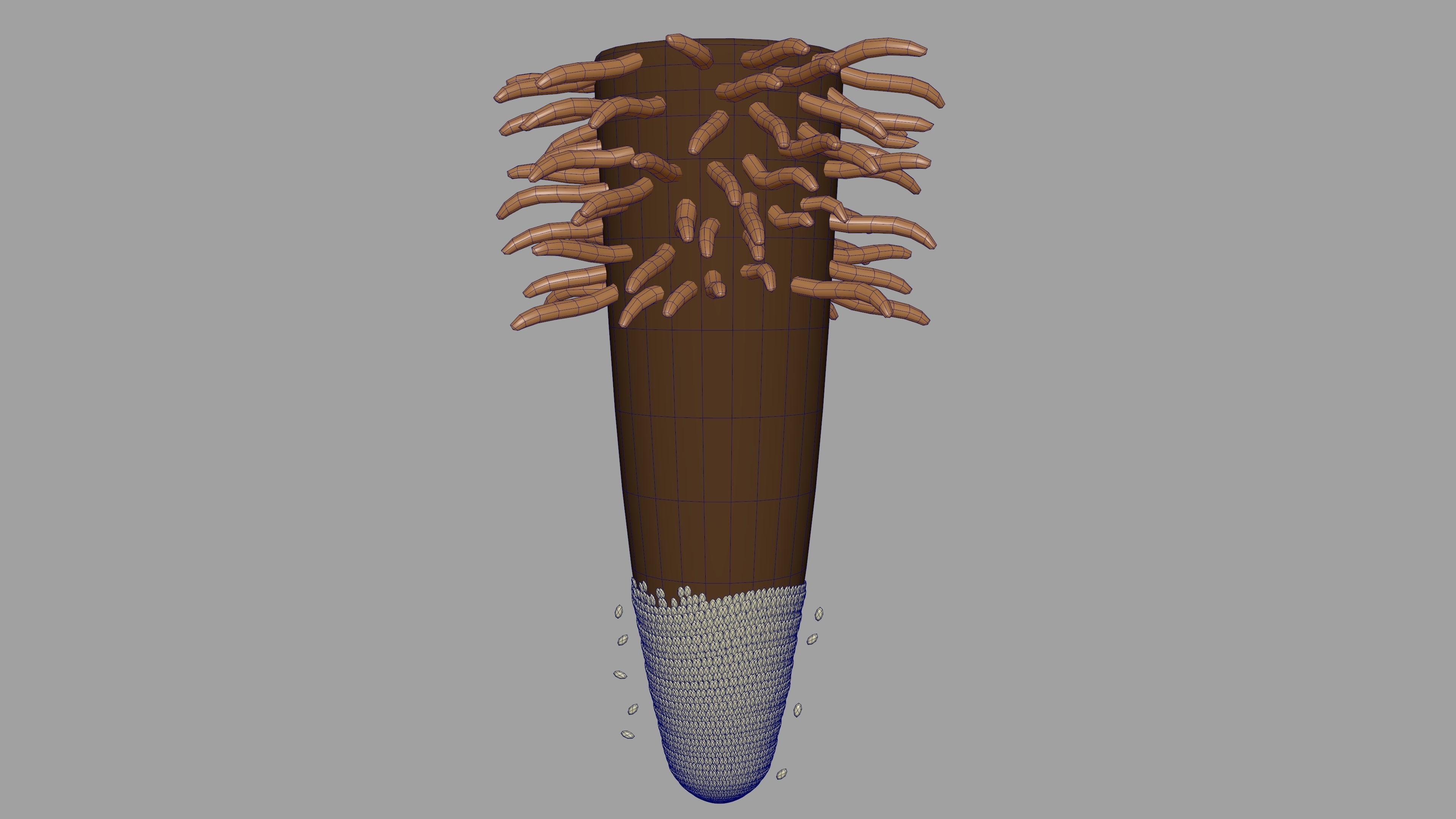 Root Hair Cell 3D model | CGTrader