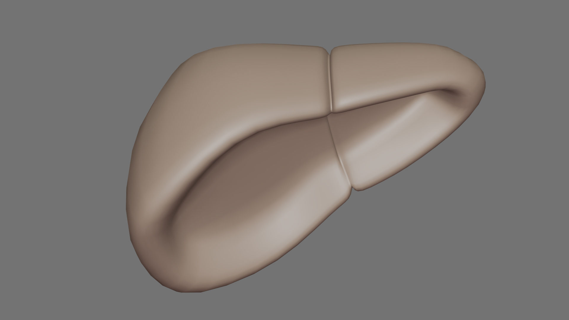 Hepatic Steatosis - Liver Fat 3D model | CGTrader