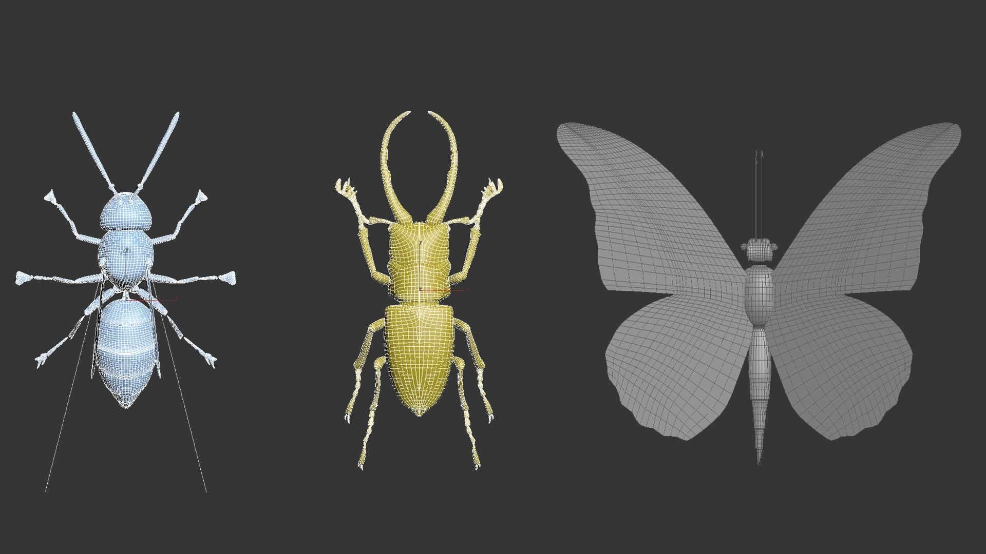3D model Bugs Insect Collection VR / AR / low-poly | CGTrader