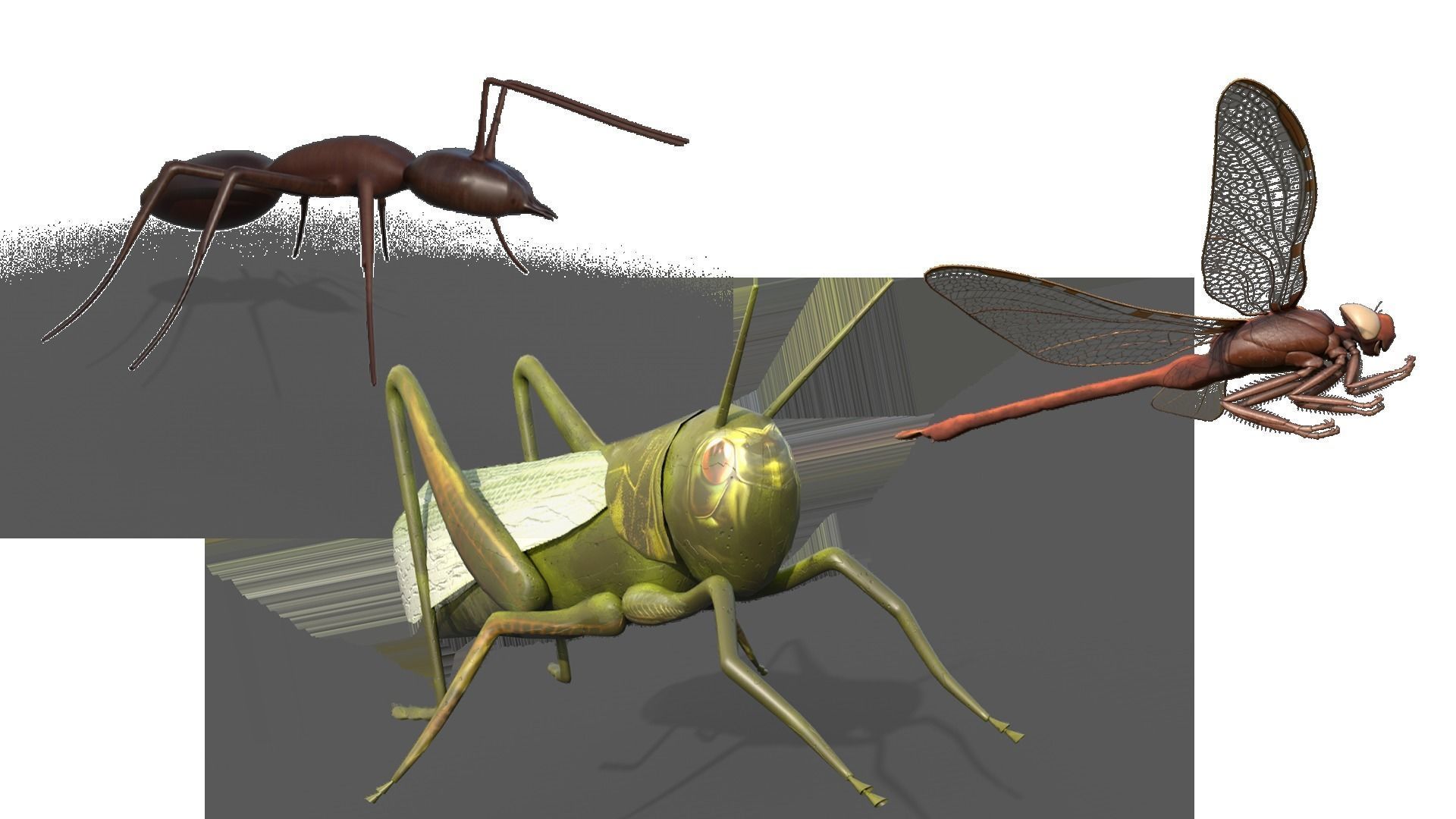 3D model Bugs Insect Collection VR / AR / low-poly | CGTrader