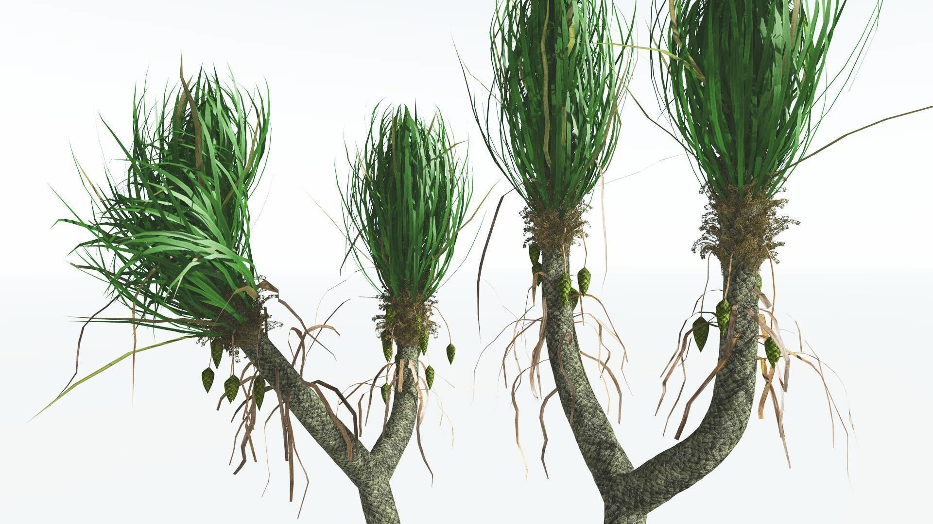 EVERYPlant Sigillaria 3 --12 Models-- 3D model | CGTrader