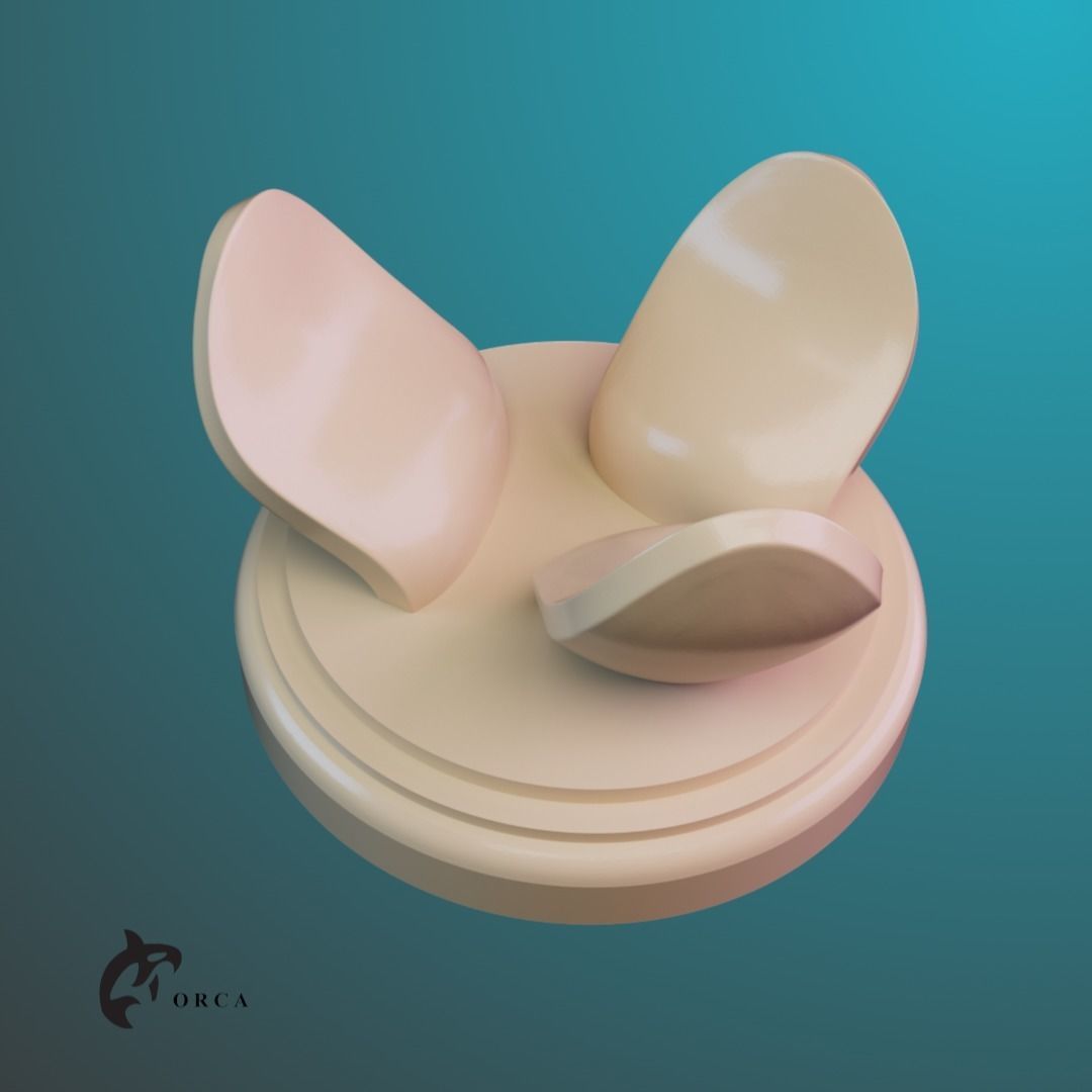 HEART ANATOMY FOR EDUCATION 3D model 3D printable | CGTrader