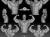 Front Double Biceps Pose 3D model 3D printable | CGTrader