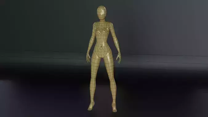 Female Body Base Model - Free free VR / AR / low-poly 3D model | CGTrader