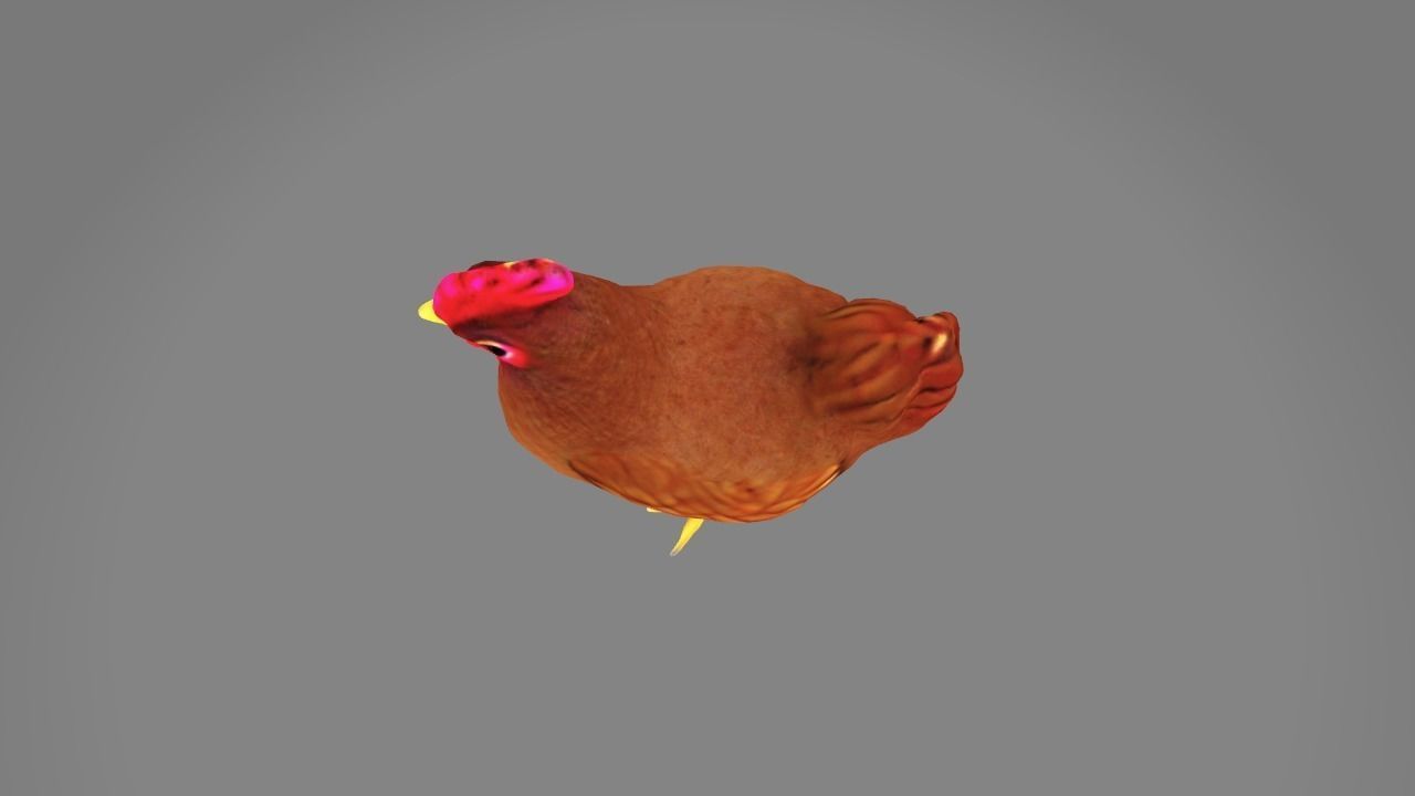 3D model Chicken Realistic Low-Poly 3D Model VR / AR / low-poly | CGTrader