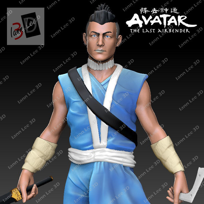 AVATAR AANG THE LAST AIRBENDER SOKKA FAN ART 3D model 3D printable ...