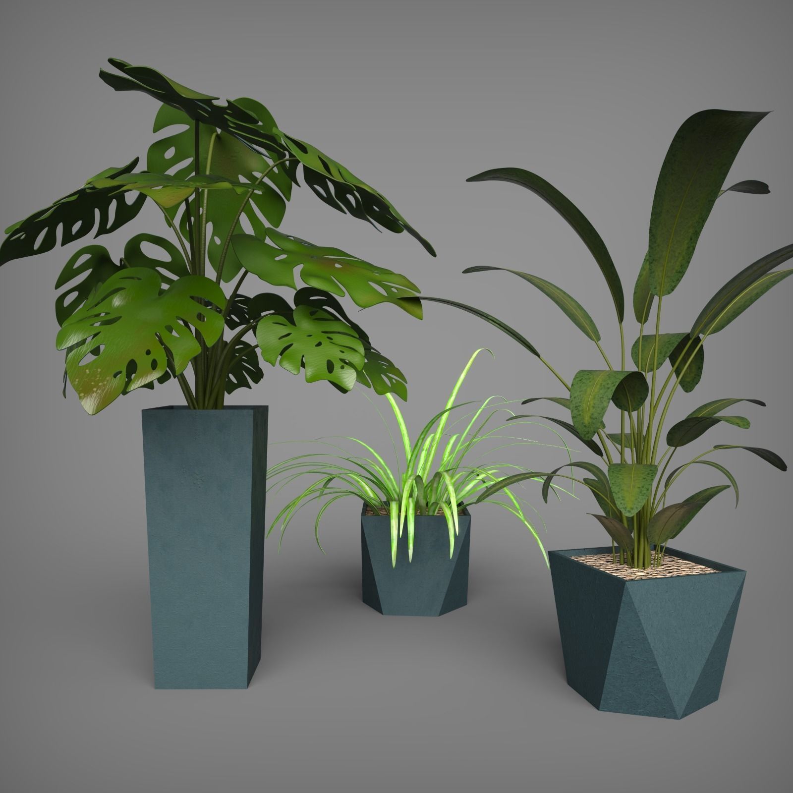 Flower pot Plants -3 pack- 3D model | CGTrader