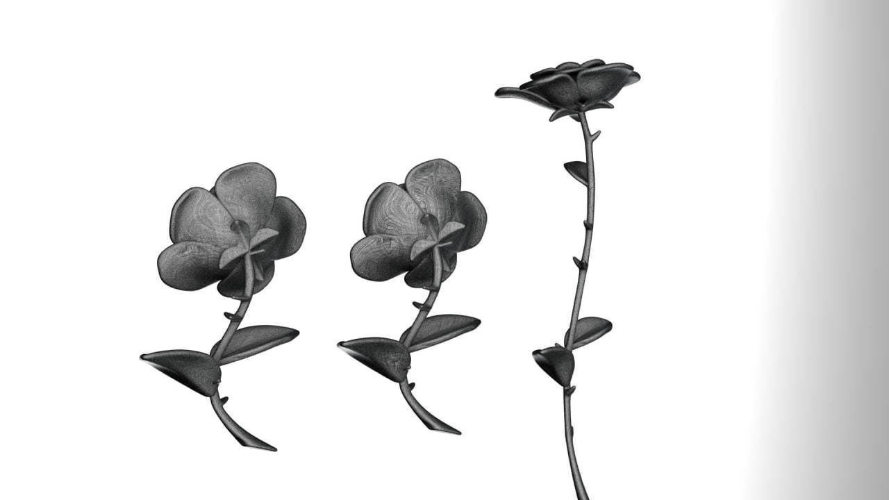free roses free 3D model 3D printable | CGTrader