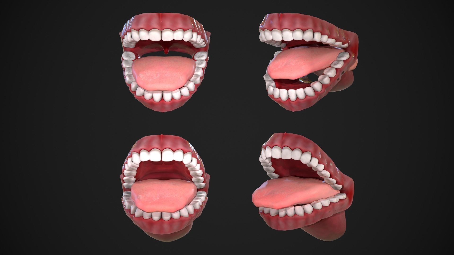 3D model Dental Mouth and Teeth Model Rigged for animation or printing ...