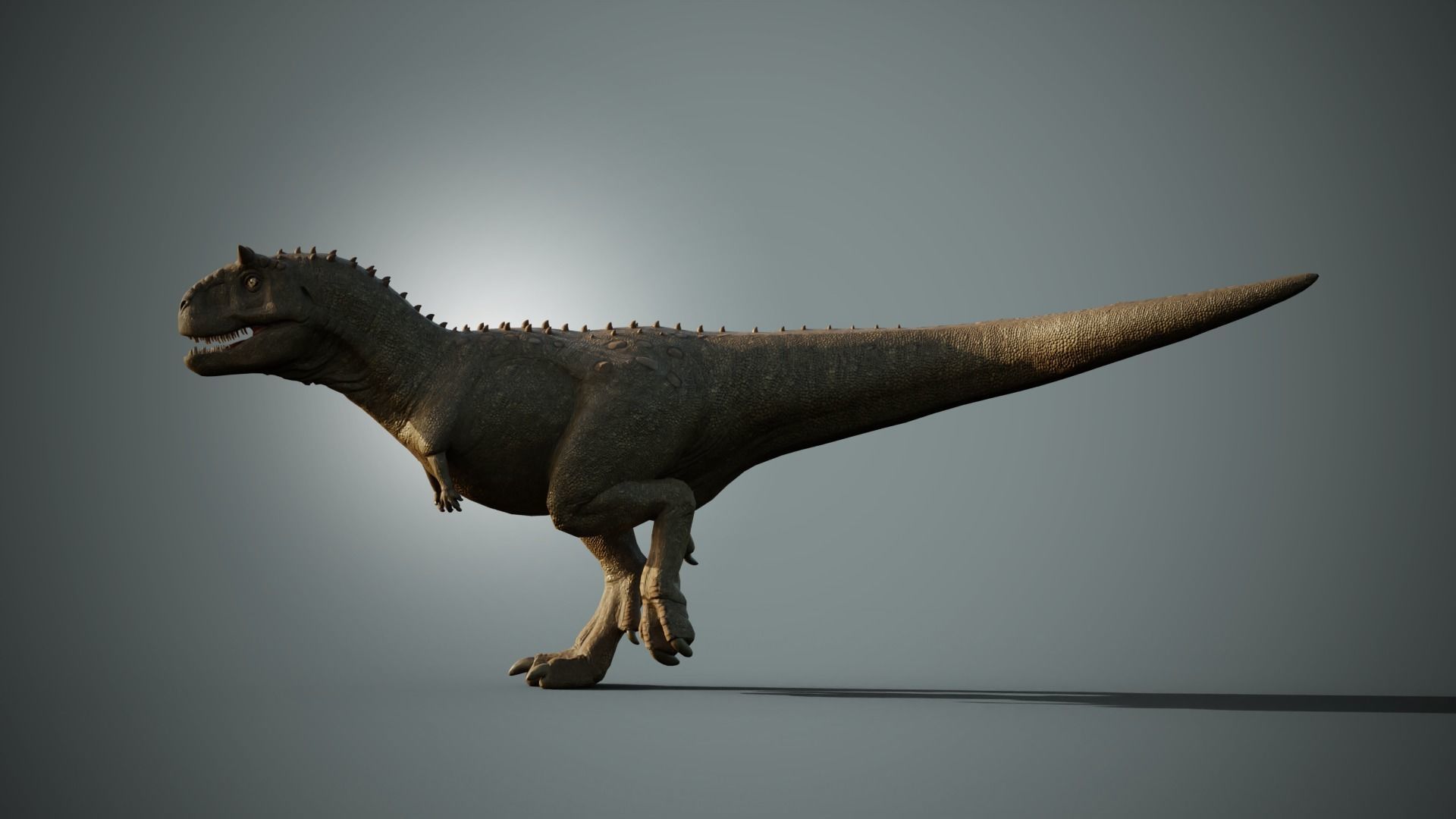 3D model Carnotaurus VR / AR / low-poly | CGTrader