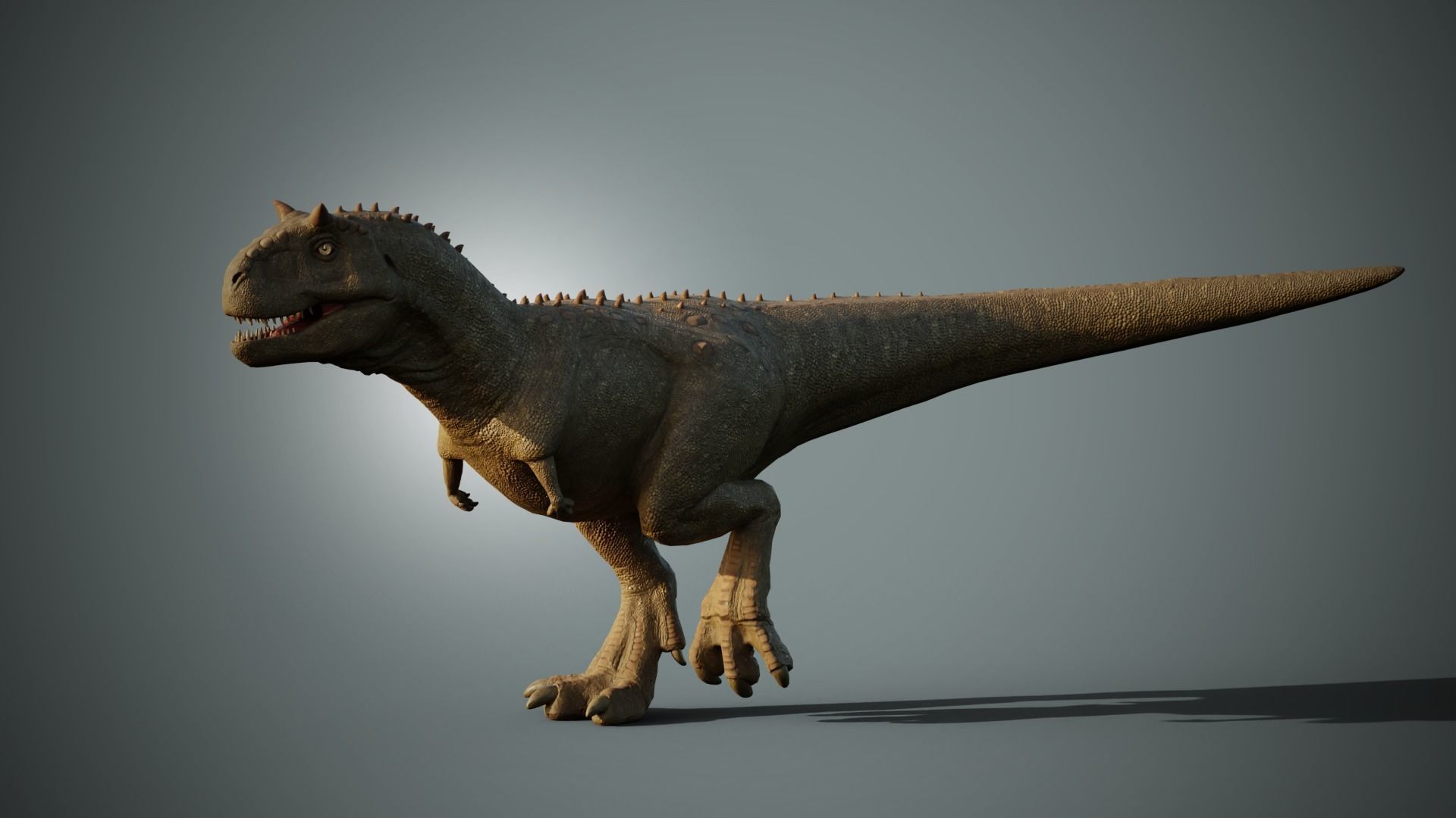 3D model Carnotaurus VR / AR / low-poly | CGTrader