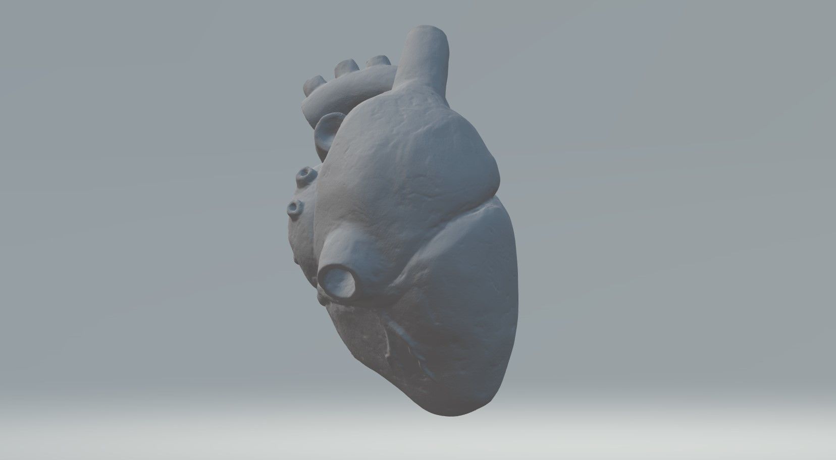 Coeur humain 3D model 3D printable | CGTrader