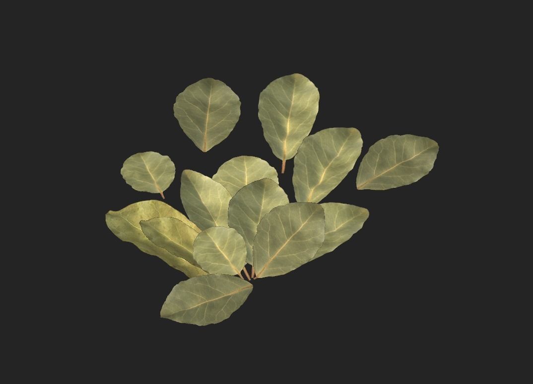 3D model Bay Leaf VR / AR / low-poly | CGTrader