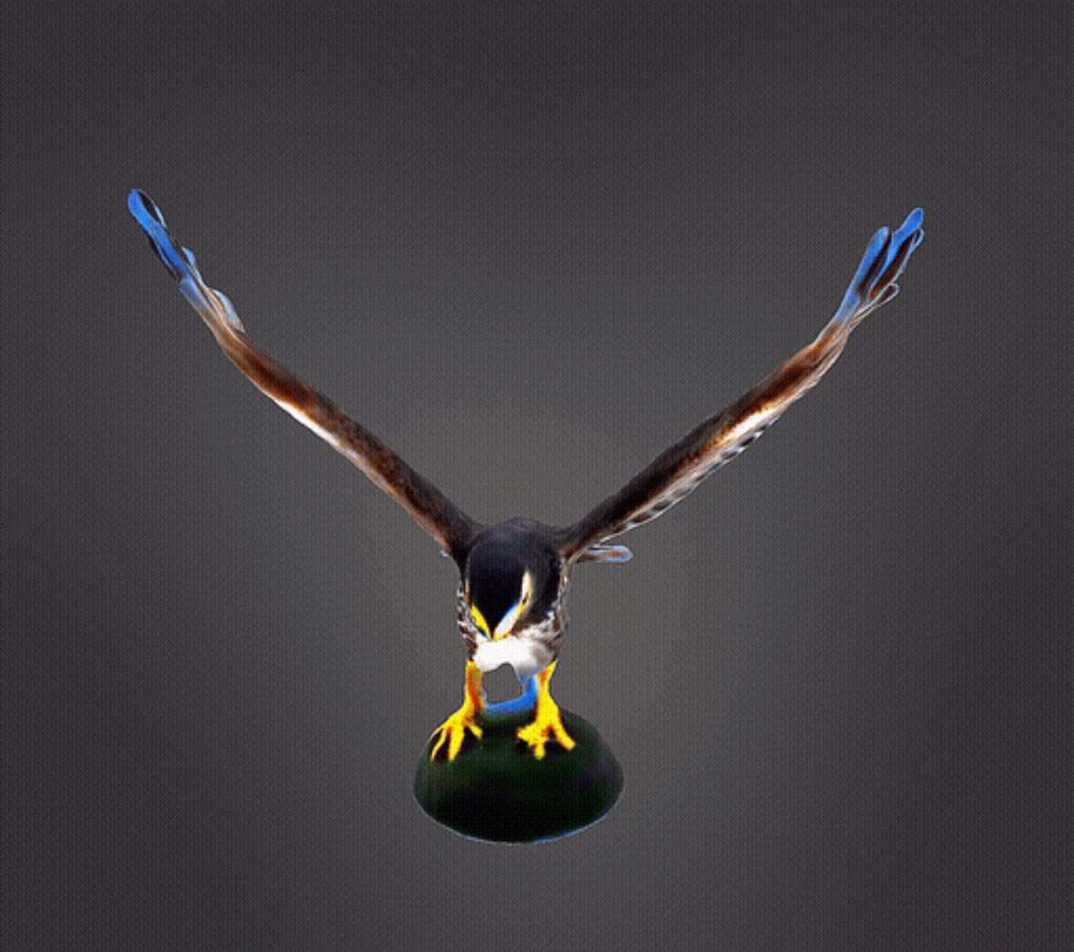 Hunting Hawk 3D model 3D printable | CGTrader