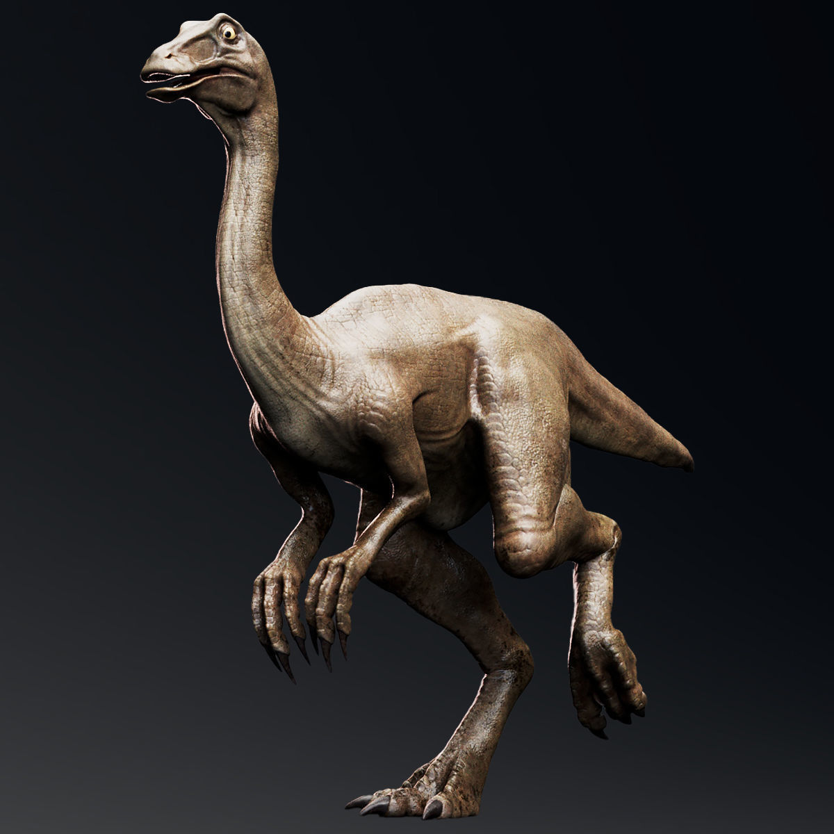 3D model Gallimimus Unity Project VR / AR / low-poly | CGTrader