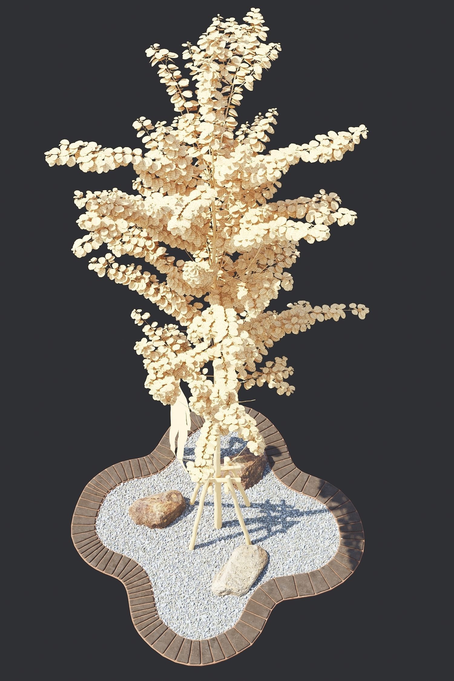 Alnus Glutinosa TREE - Tanaman Hias Corona-Vray-SKP 3D model | CGTrader