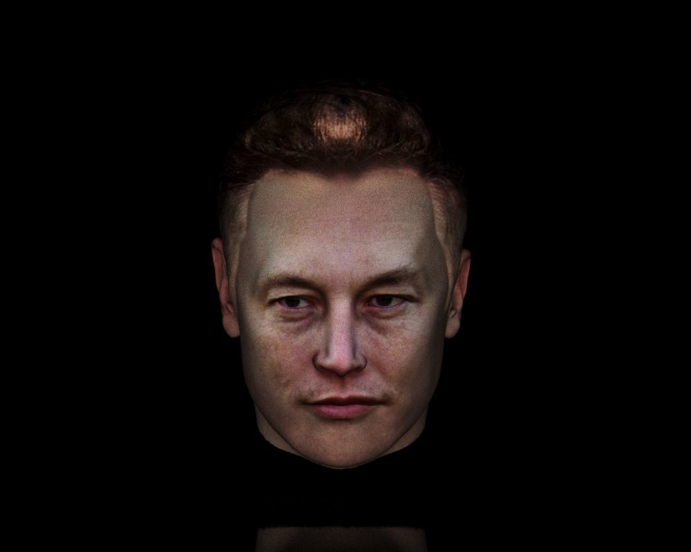 S00066 Elon Musk head 3D model | CGTrader