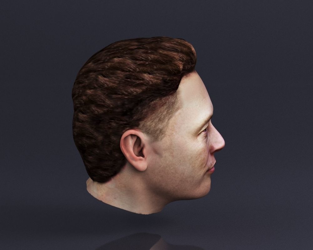 S00066 Elon Musk head 3D model | CGTrader