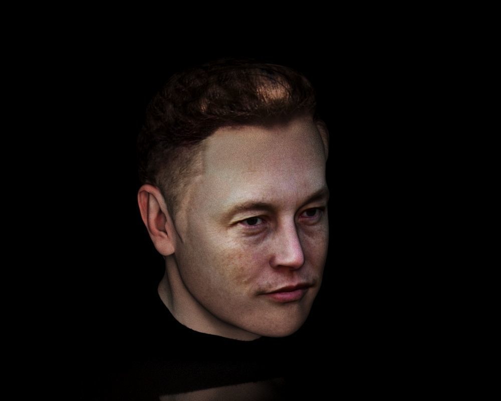 S00066 Elon Musk head 3D model | CGTrader