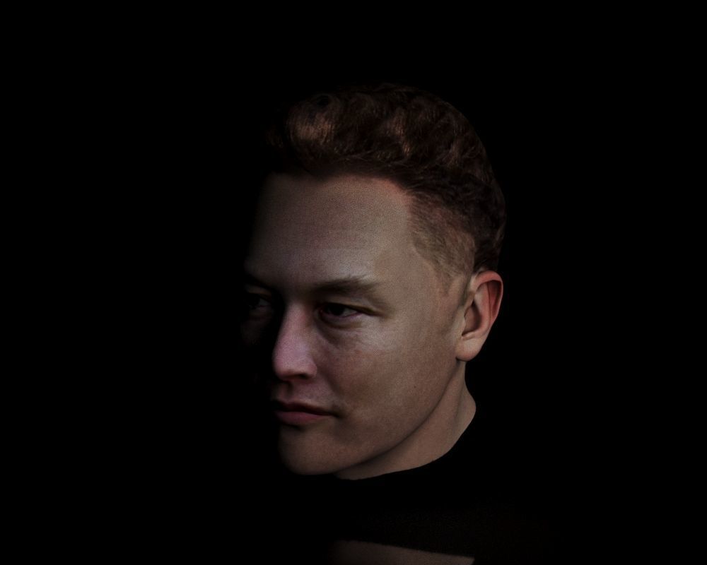 S00066 Elon Musk head 3D model | CGTrader