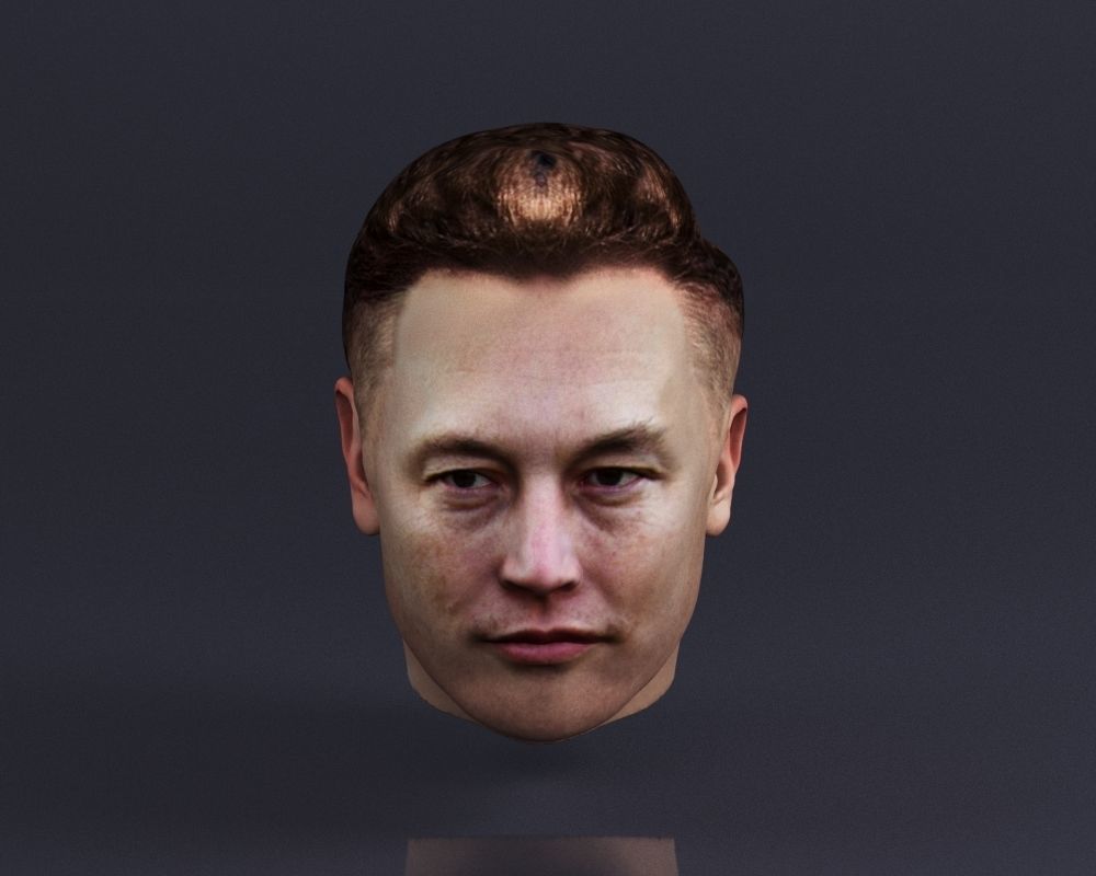 S00066 Elon Musk head 3D model | CGTrader