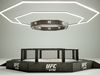 UFC MMA Ring Octogone 3D Model 3D model | CGTrader