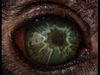 Texture Beast Fantasy Eyes Vol 02 - PBR VR / AR / low-poly | CGTrader