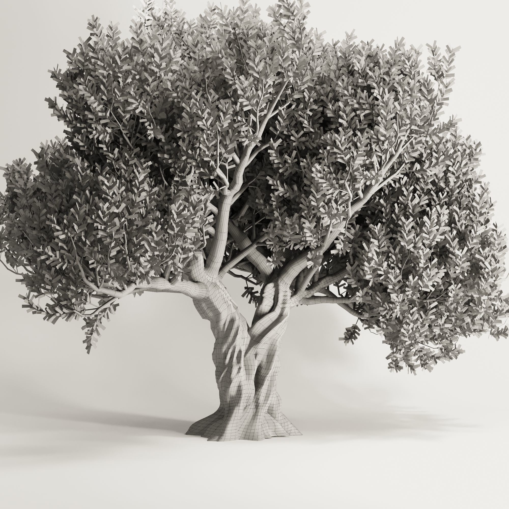 Olive Tree Set12 3D model | CGTrader