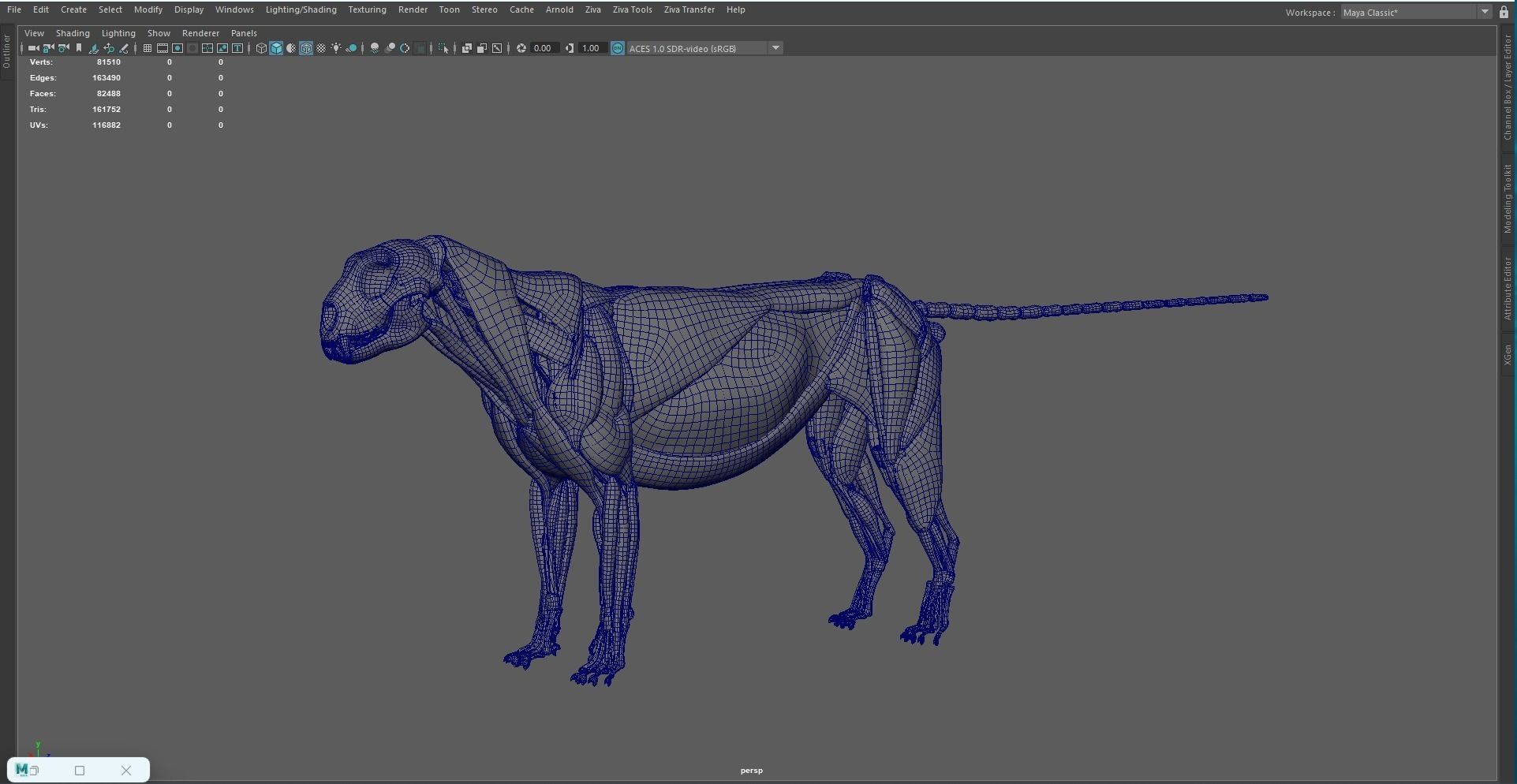 Leopard anatomy 3D model | CGTrader