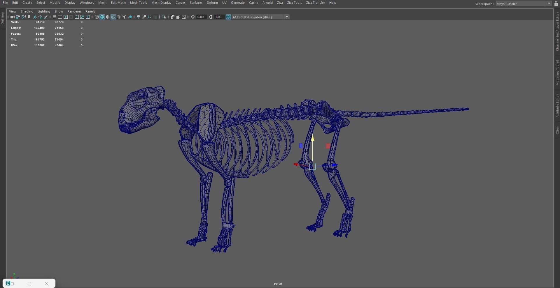 Leopard anatomy 3D model | CGTrader