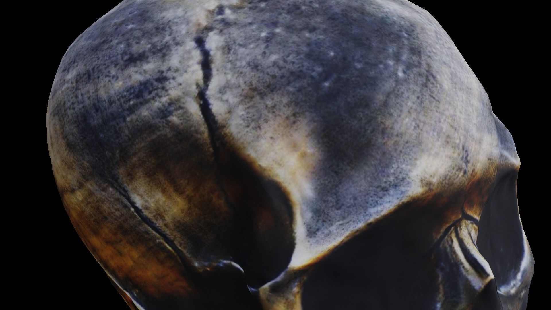Charred Skull 3D model | CGTrader