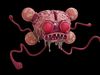Brain Monster - Cerebro Monstro 3D model | CGTrader