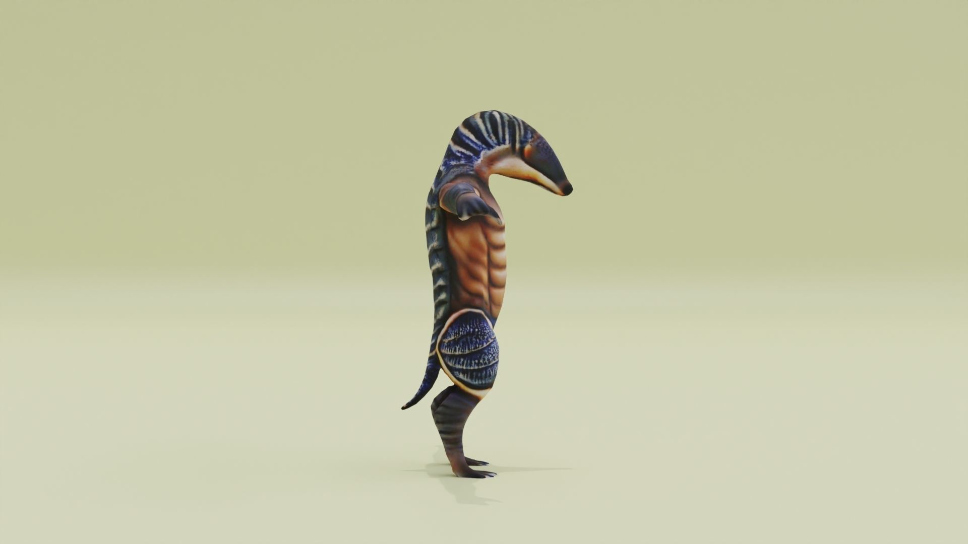 3D model Armadillo Cingulata Character Muscular T-Pose VR / AR / low-poly | CGTrader