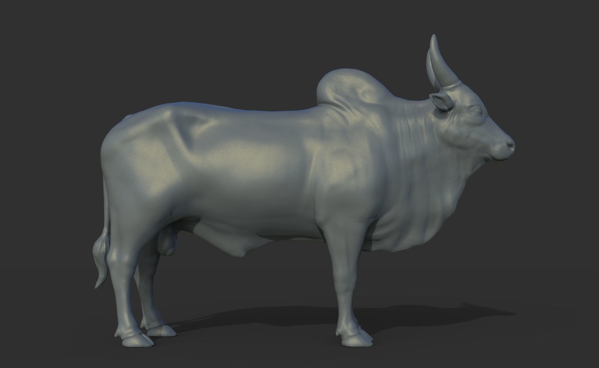 Pulikulam country bull 3D model 3D printable | CGTrader