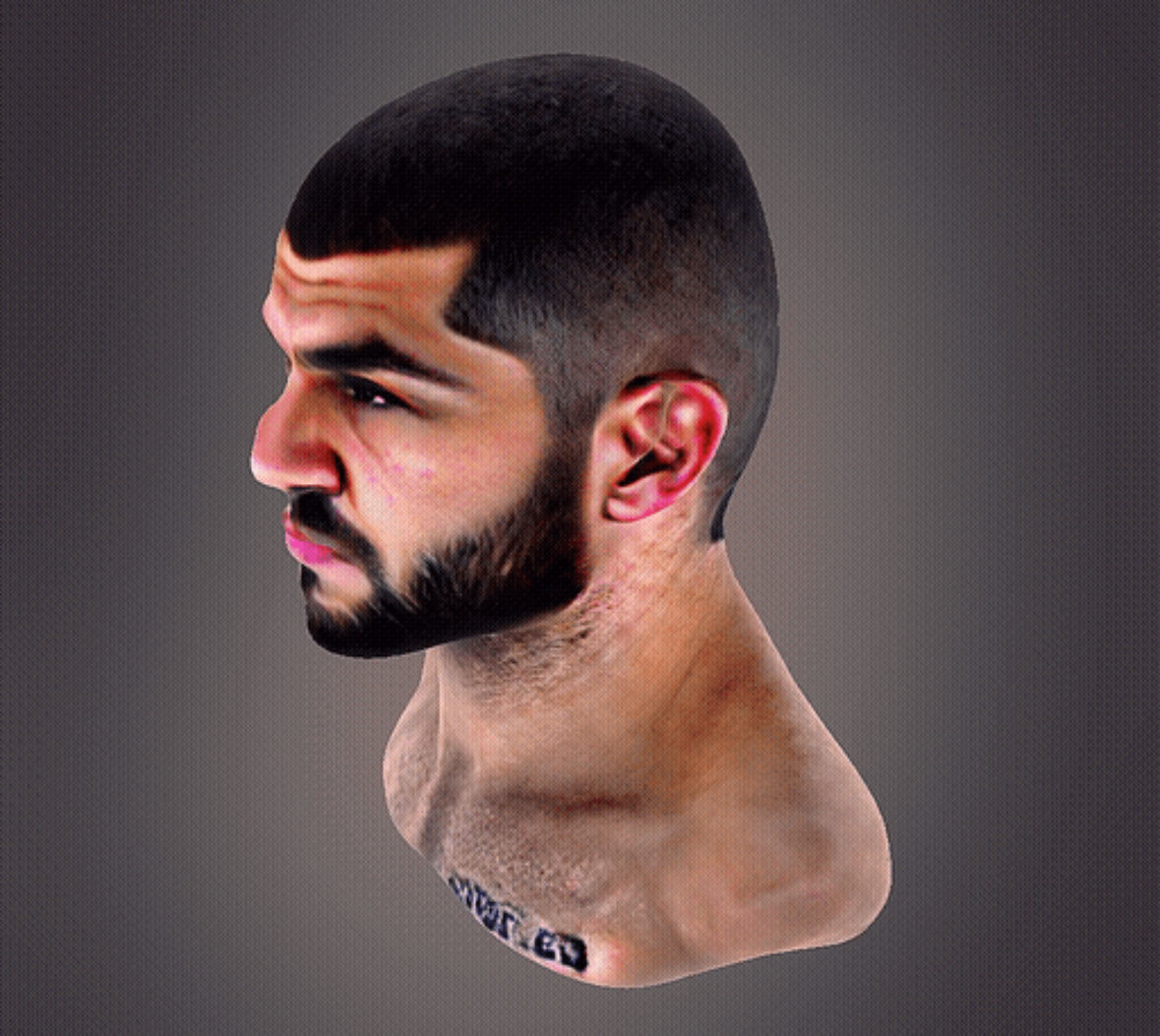 Khabib Ufc Bust 3D model 3D printable | CGTrader